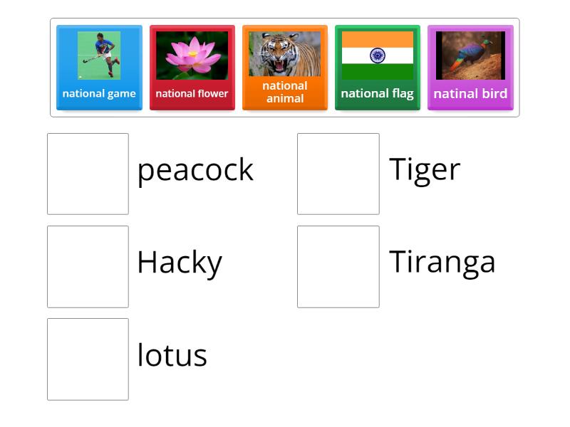 national symbols - Match up
