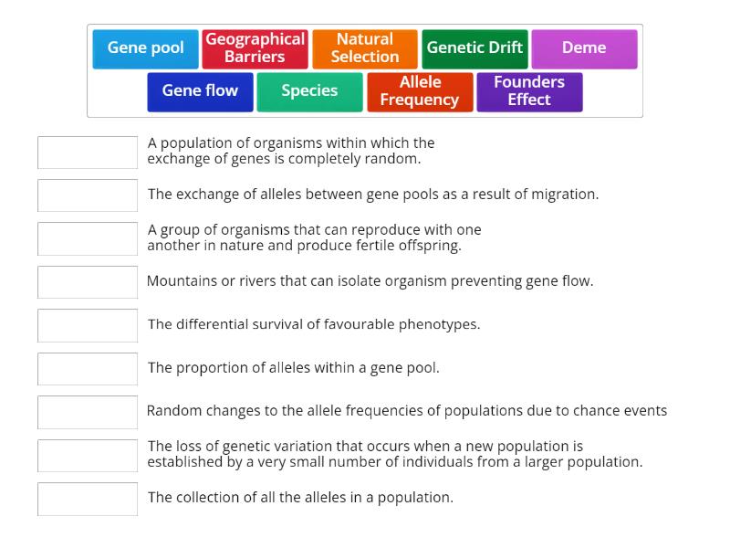 Gene Pools and Evolution (Key definitions) - Match up