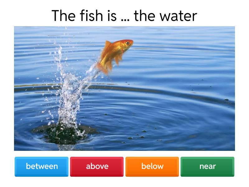 Prepositions. below, behind, above, below, near, opposite - Cuestionario