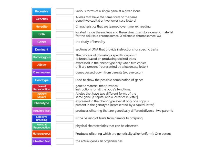 Unit 4 Genetics and Heredity - Match up