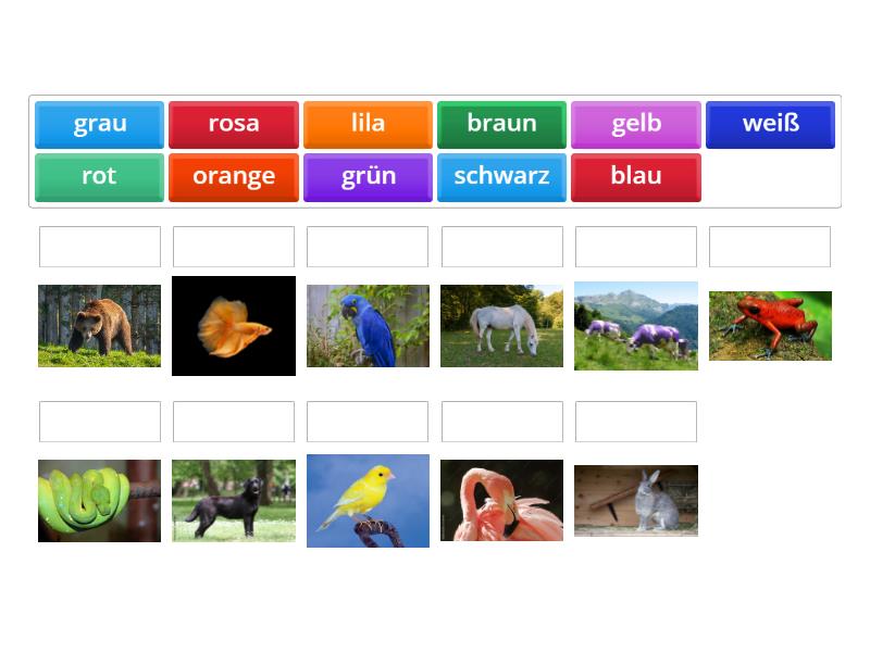 Tiere und Farben - Match up