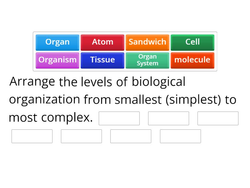 Arrange the biological categories from smallest to largest - Complete the sentence