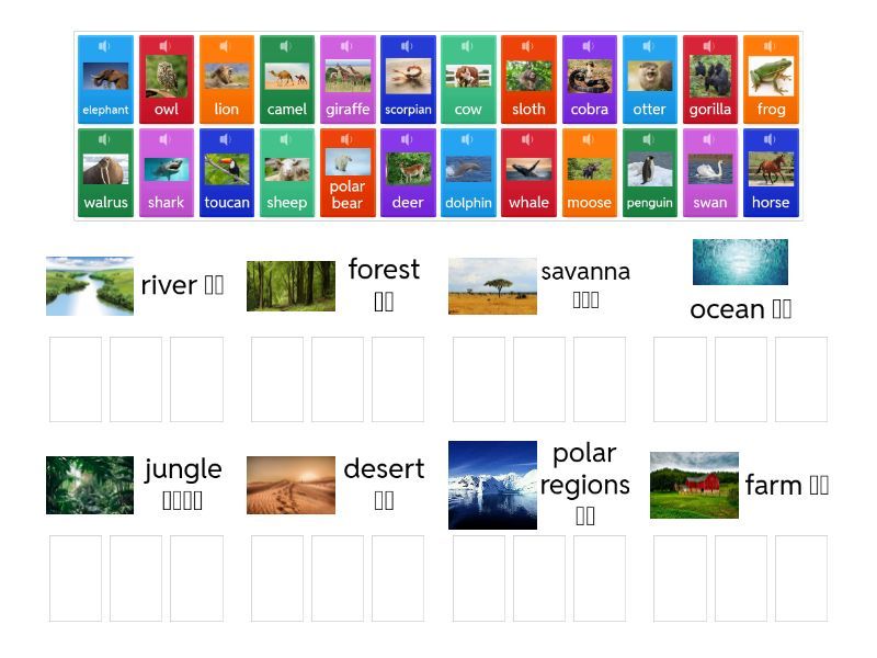 Animals and habitat - Posortuj