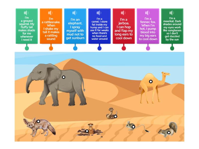 Desert animals adaptations - Labelled diagram