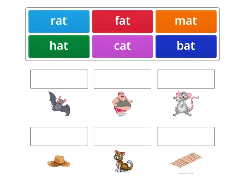 cat-bat-hat-mat-fat-rat - المطابقة