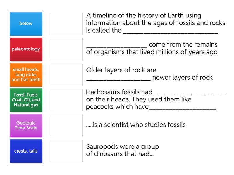 What can fossils tell us? - Match up