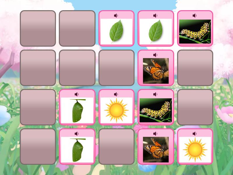 The Very Hungry Caterpillar - Matching pairs