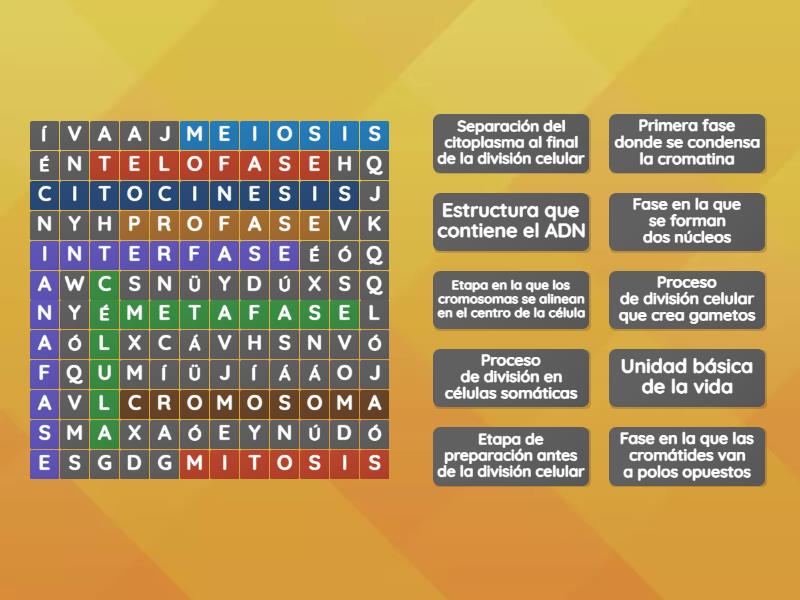 Ciclo Celular - Sopa de letras