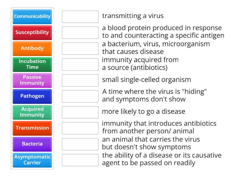 Virus Transmission Vocab - Match up