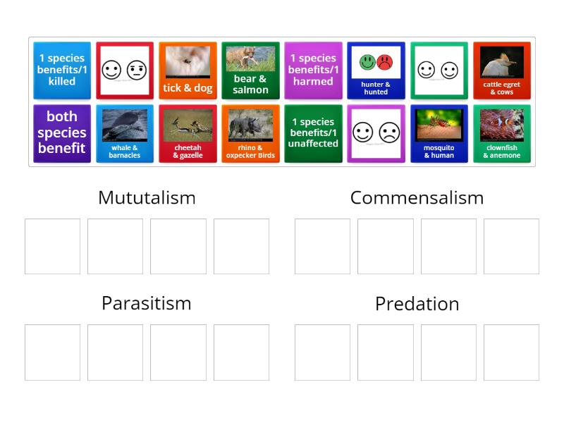 Symbiosis Review w/Predation - Group sort