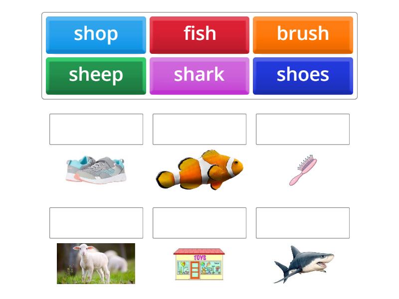 Sh digraph - Match up