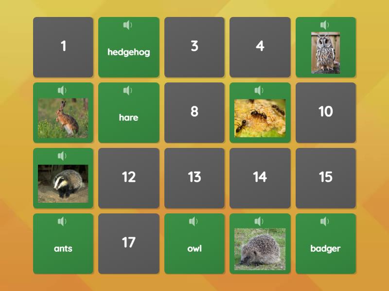 forest animals - Matching pairs