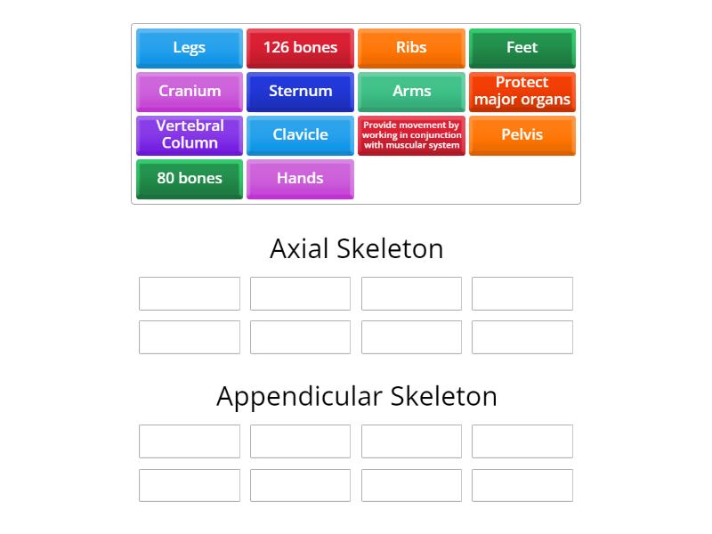 Axial and Appendicular skeleton - Group sort