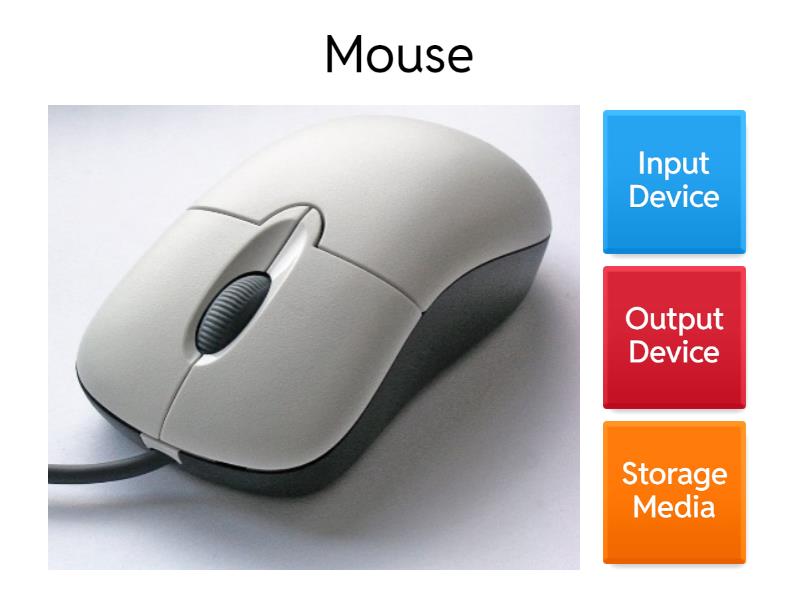Input and output devices - Quiz