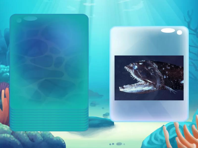 Are They Deep Sea Creatures? - Speaking cards