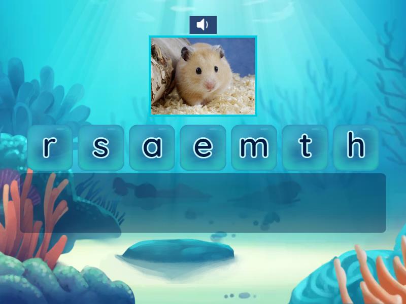 Beehive 1 Unit 5 lesson 5 - Анаграмма