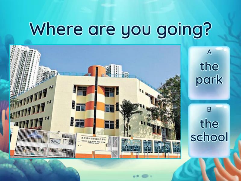Where are you going? - Quiz