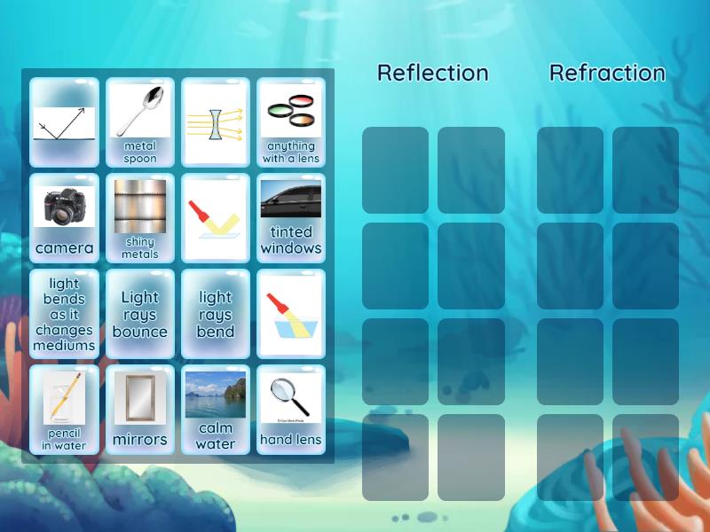 Light Reflection and Refraction - Group sort