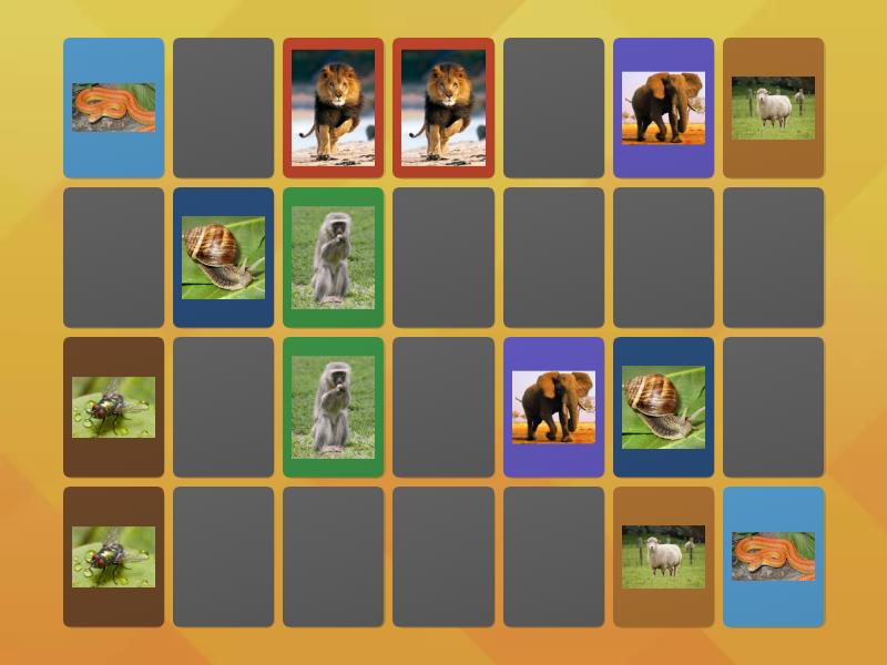 Memory: Animals - Matching pairs