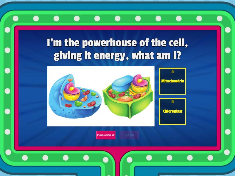 Cellular Organelles - Riddle "What am I?" - Concurso de preguntas