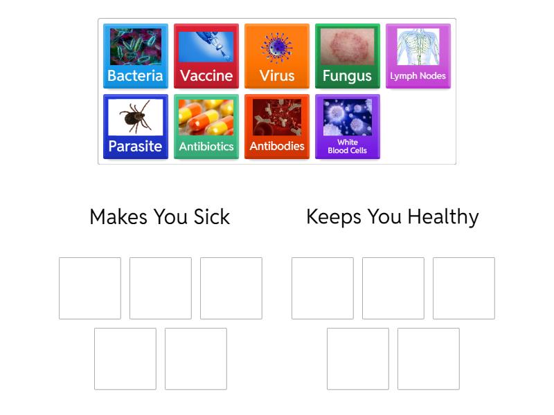 Immune System - Sick vs. Healthy - Group sort