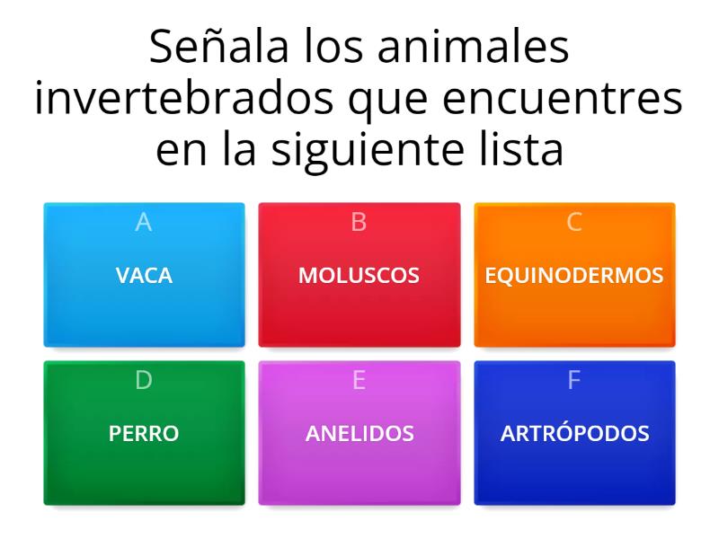 LAS PLANTAS Y LOS ANIMALES VERTEBRADOS E INVERTEBRADOS - Quiz