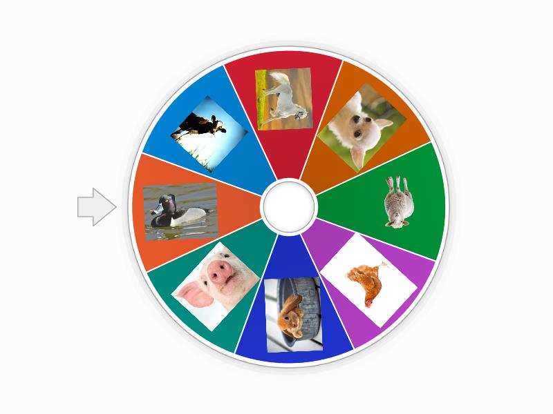 farm animals year 5 - Spin the wheel