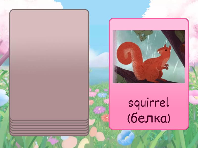 Where Does Kitty Go In The Rain? - Speaking cards