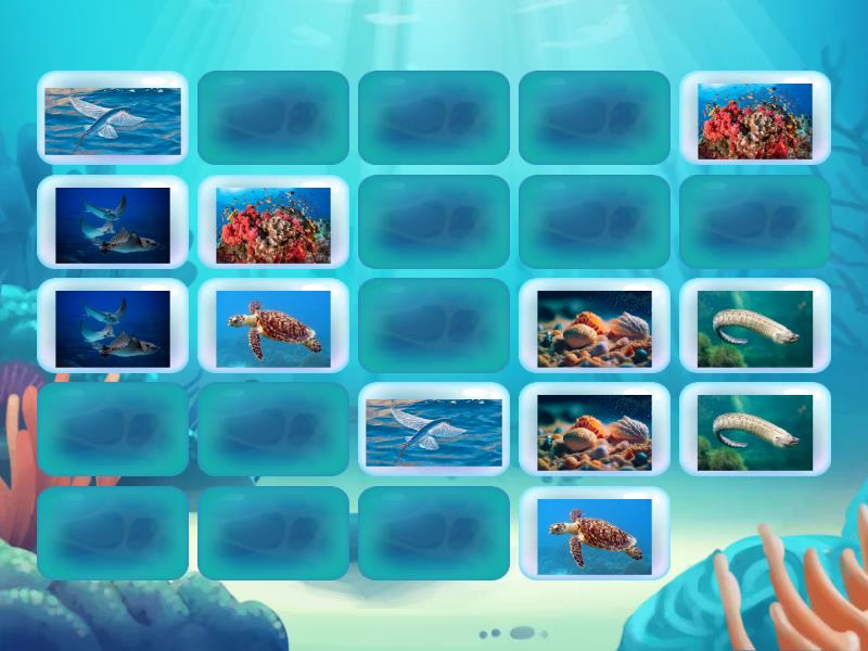 Ocean Creatures - Matching pairs