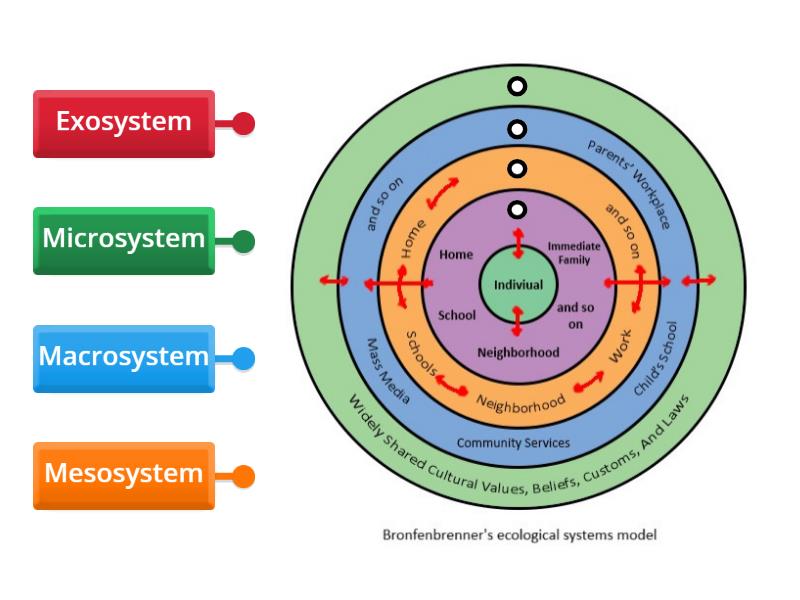 Bronfenbrenner's Ecological Systems Model - Labelled diagram
