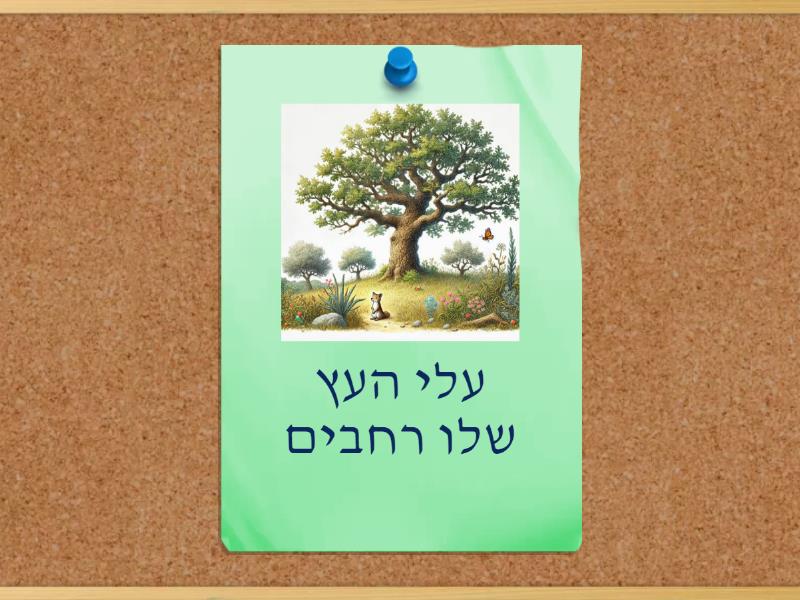 קטע מידע עץ נשיר עץ ירוק עד - כרטיסי הבזק