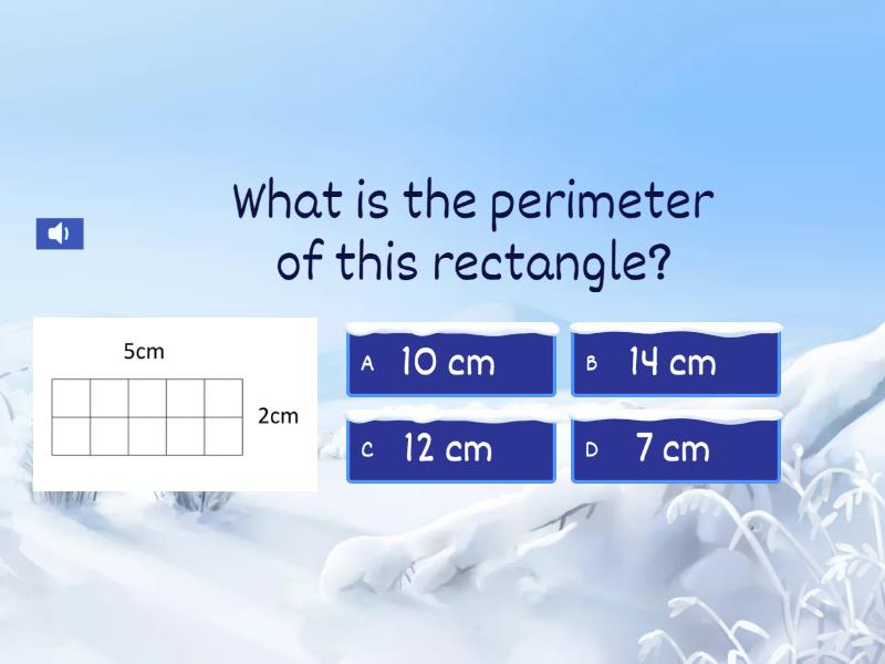 Perimeter Review - Quiz