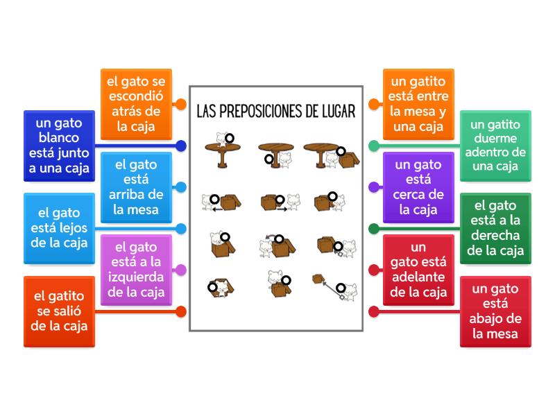 preposiciones gato - Labelled diagram