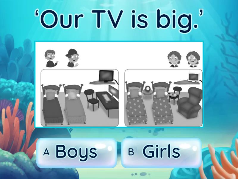 AS2 Unit 3 Grammar Our/Their - Quiz