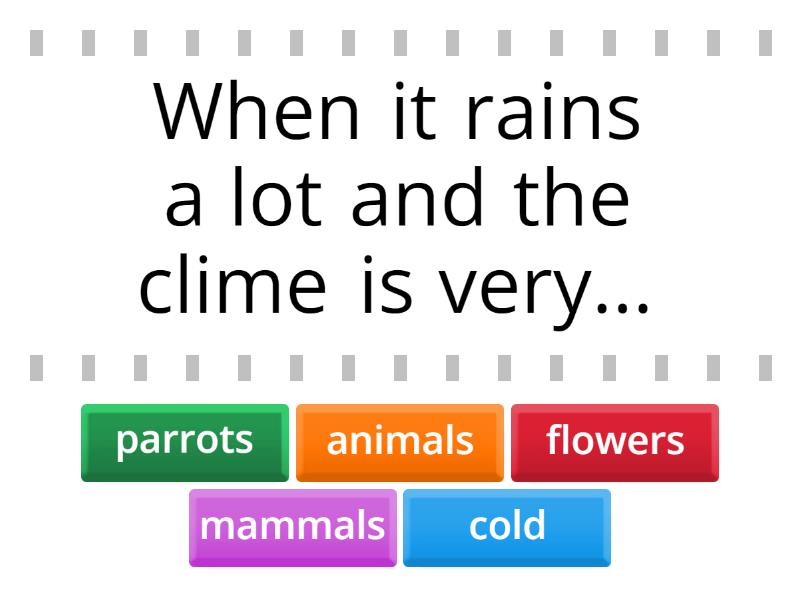 Reading test practice 5th part 2 - Cada oveja con su pareja