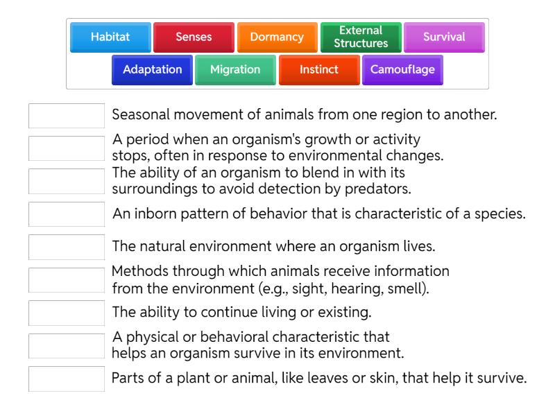 Organism Survival Science - Match up