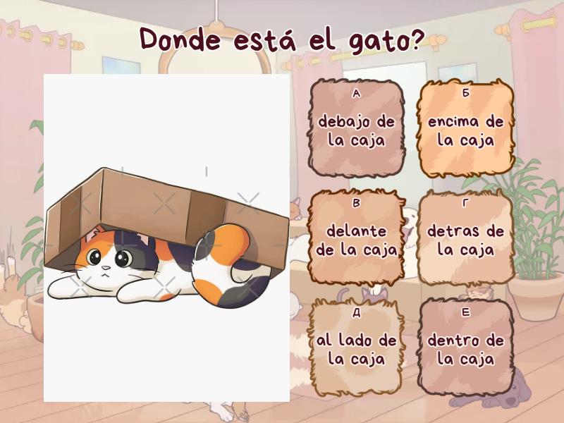 ¿Donde está el gato? - Quiz