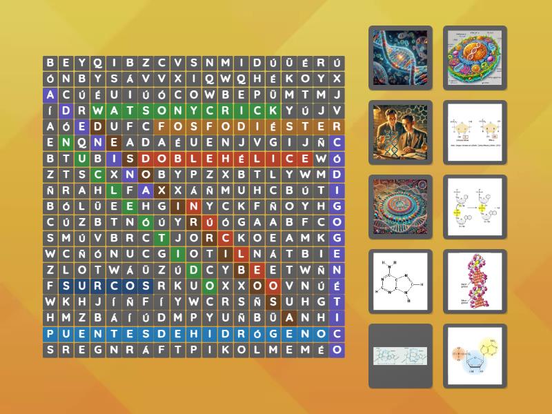 Sopa de letras: ADN - Crucipuzzle