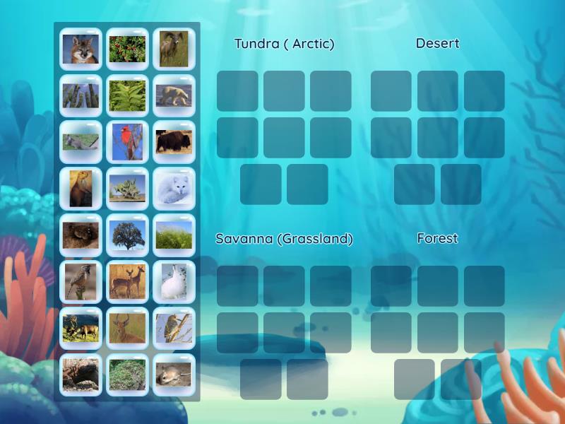 Habitat Matching Game - Group sort