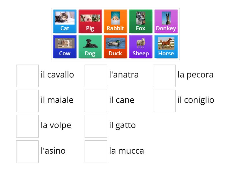 Italian Animals - Match up