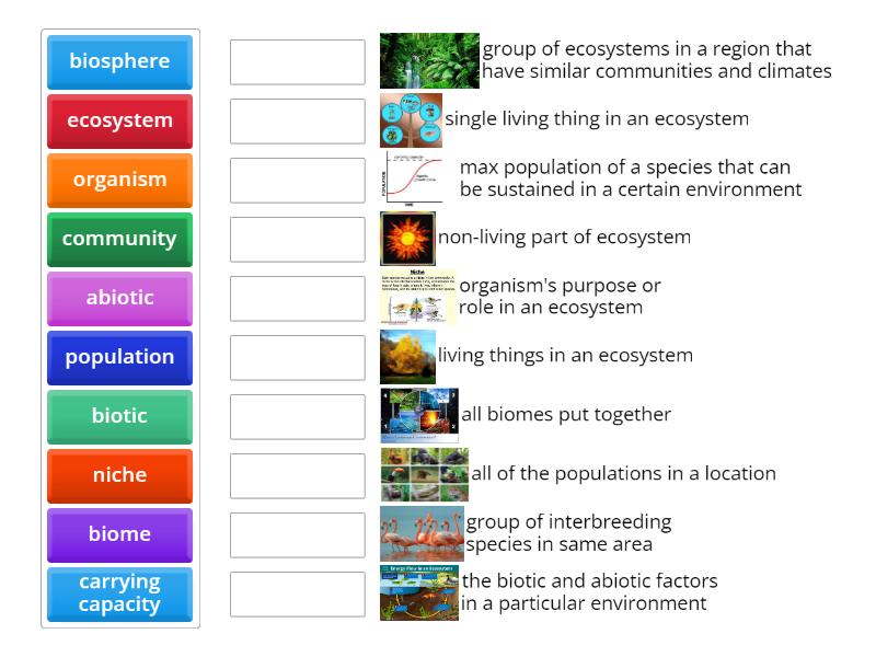 Ecology Set 1 - Match up