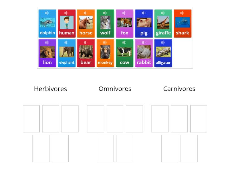 Sorting herbivores, omnivores and carnivores - 1o - Group sort