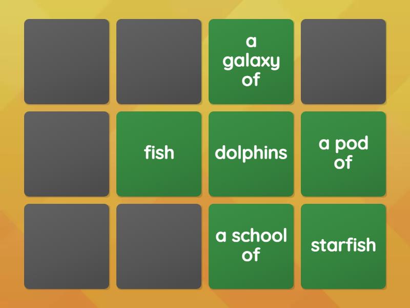groups nouns - sea animals - Matching pairs