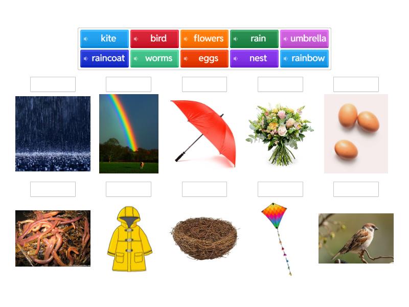 Spring Vocabulary - Match up