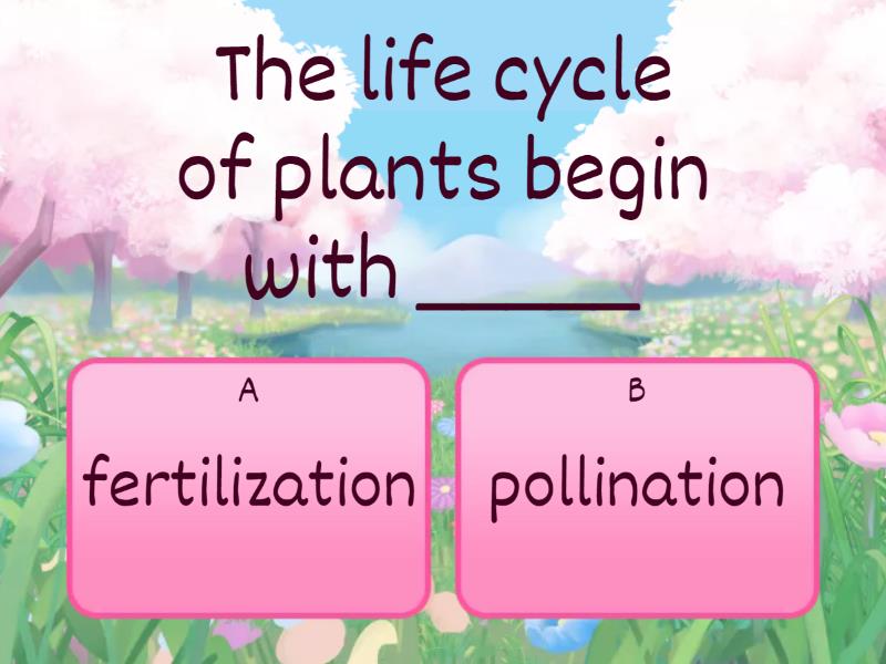 Plants Life Cycle - Quiz