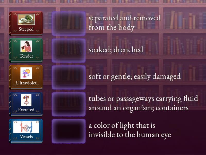 Vocabulary "from Butterfly Eyes and other Secrets of the Meadow ...