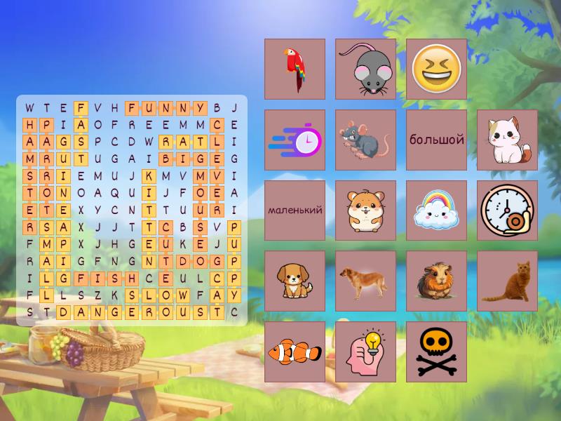 Lesson 10 Unit 4 words - Wordsearch