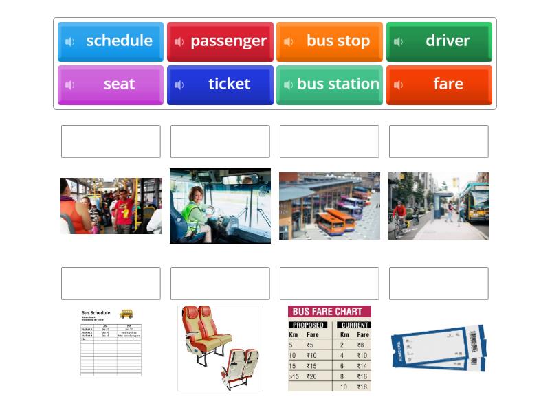 Bus- vocabulary - Match up