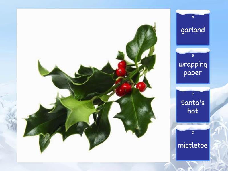 Christmas vocabulary - Quiz