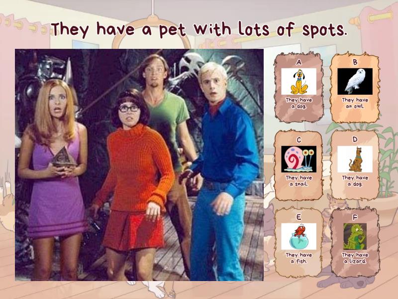 Guess the Pets - Quiz
